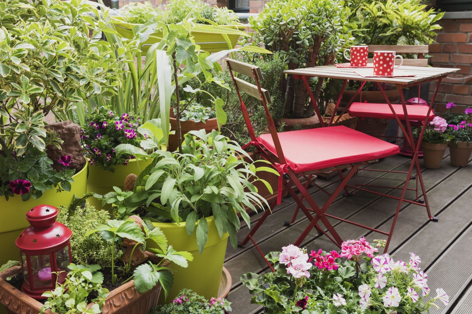 How to Start a Small Balcony Garden from Scratch (Beginner's Guide ...